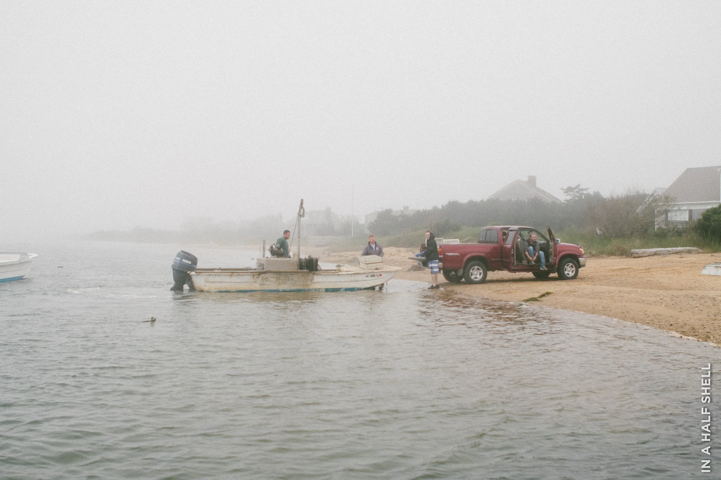A Trip to Sweet Neck Farm on Martha’s Vineyard — In A Half Shell : A ...