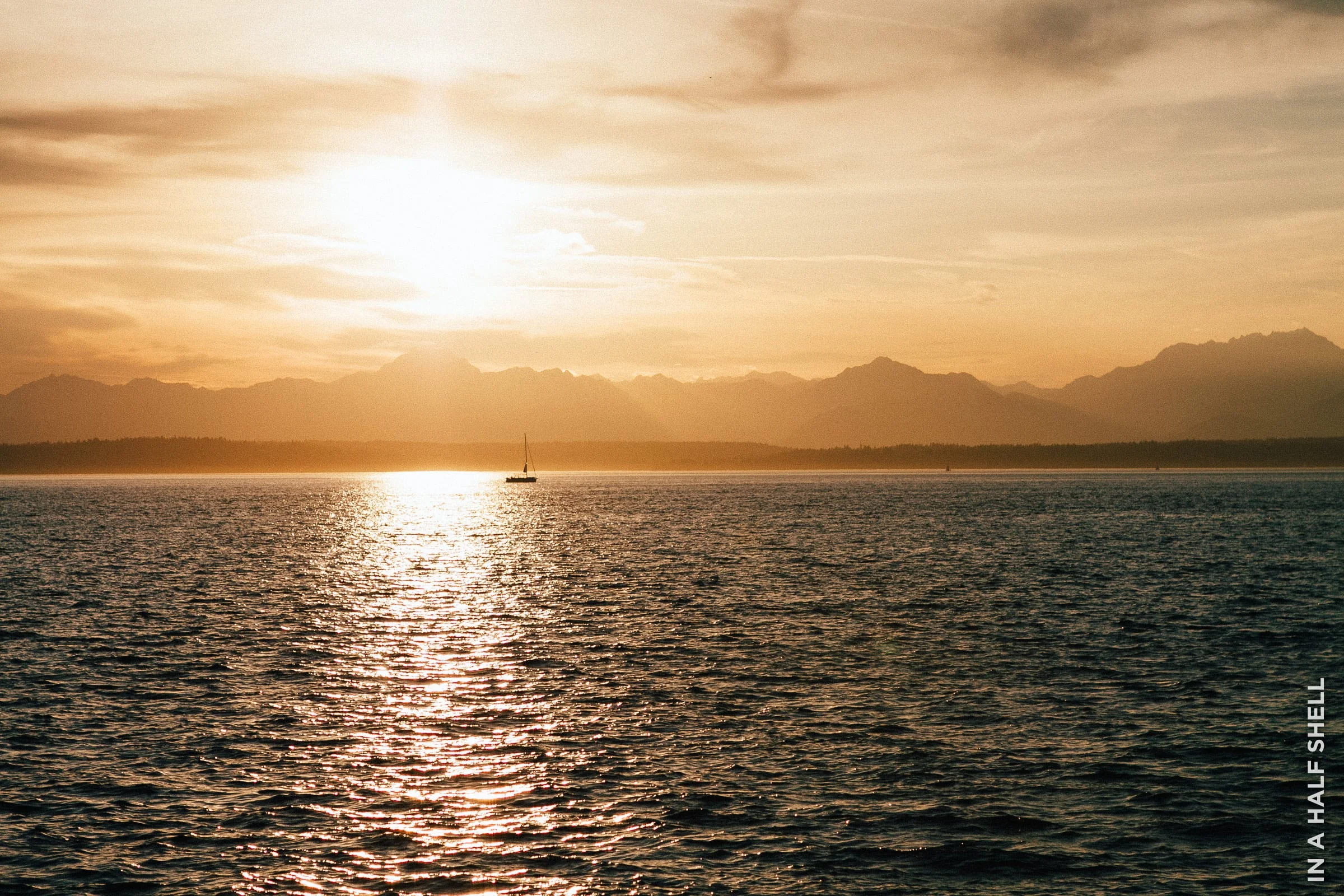 Seattle Oyster Tour — In A Half Shell : A Bivalve Curious Guide to ...