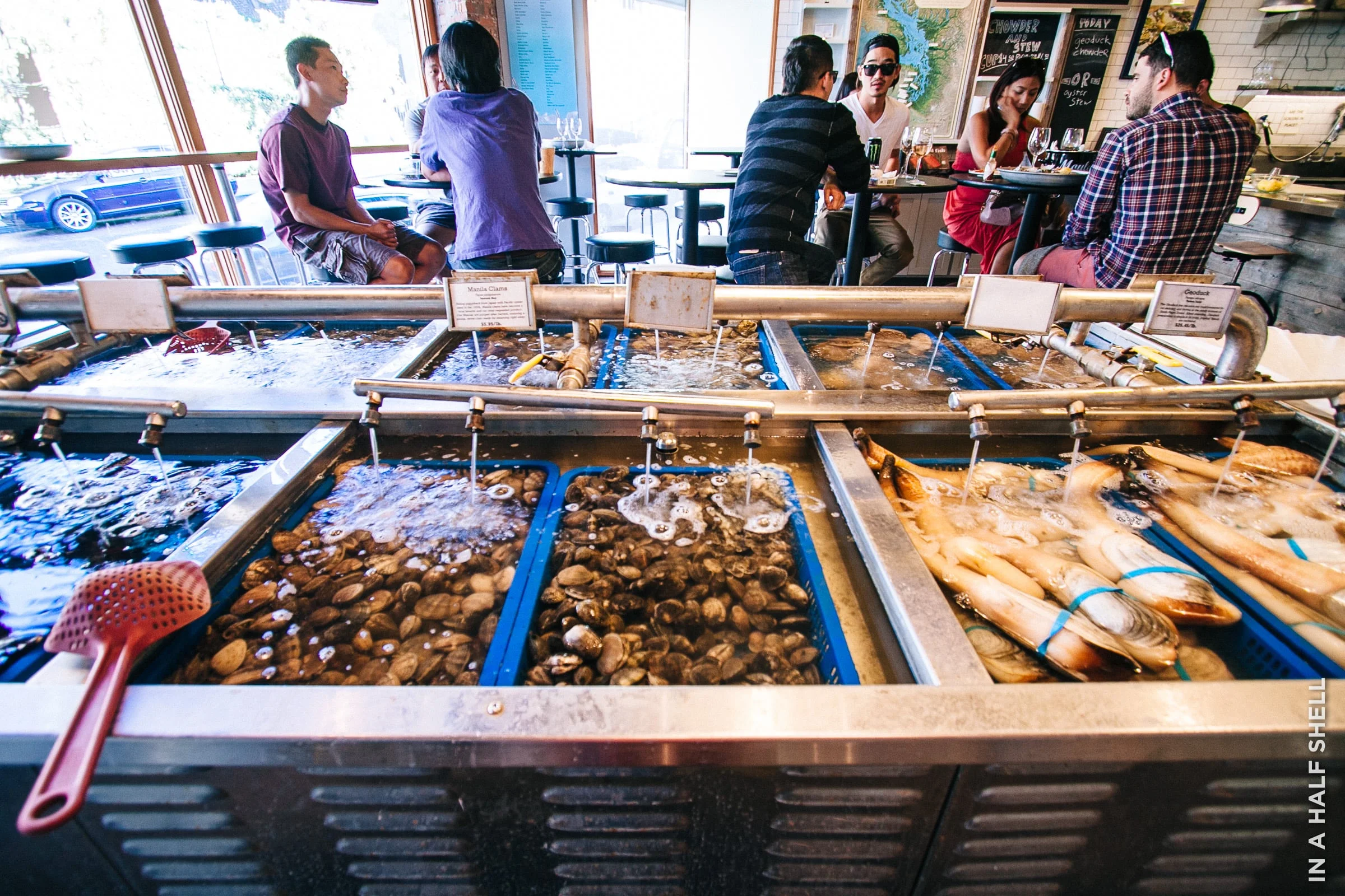 Seattle Oyster Tour — In A Half Shell : A Bivalve Curious Guide to ...