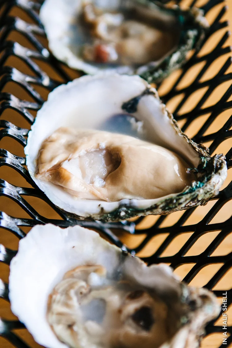 How To Enjoy Oysters At Home — In A Half Shell : A Bivalve Curious ...