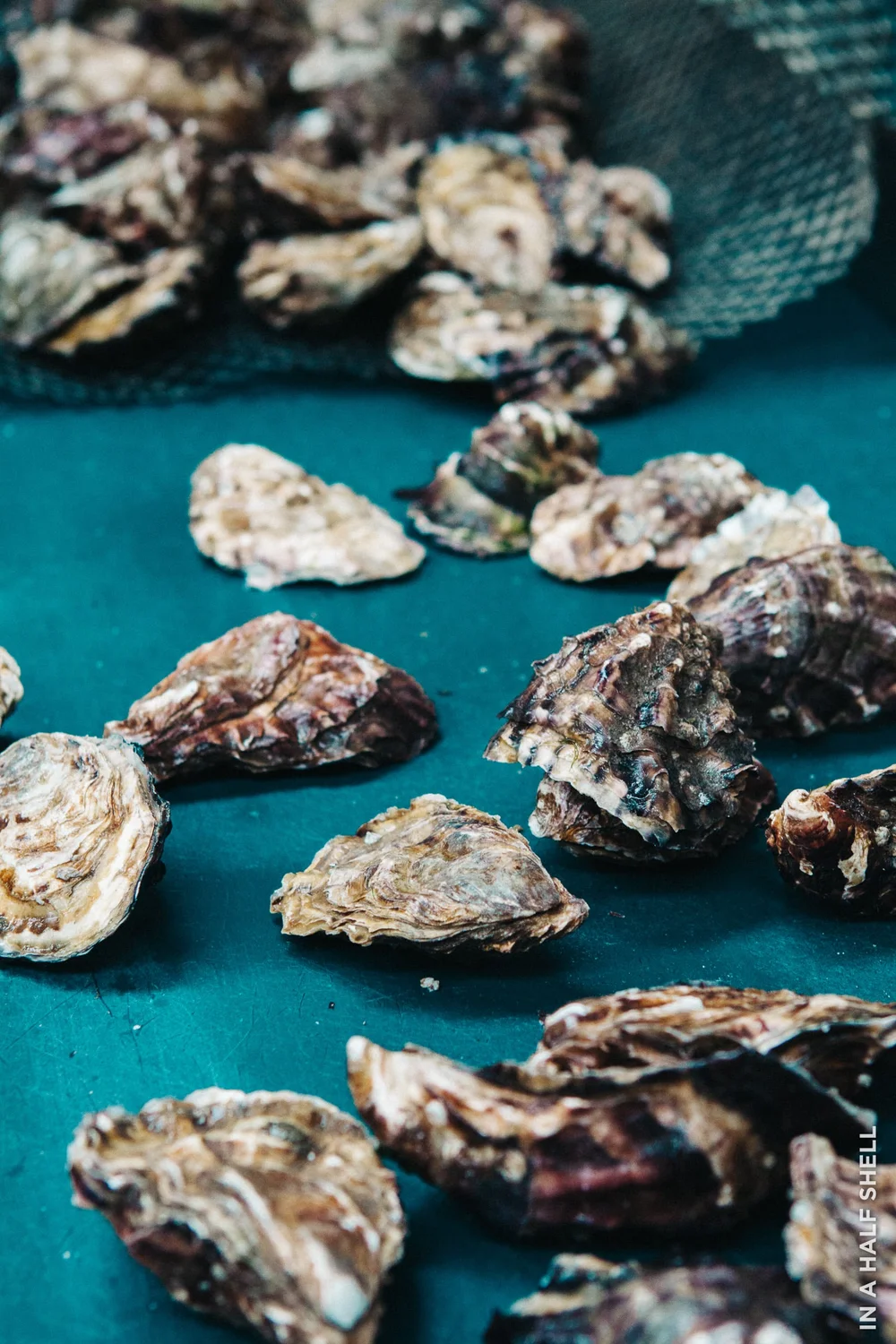 Oysters of Ireland: Merroir (Part 1 of 3) — In A Half Shell : A Bivalve ...