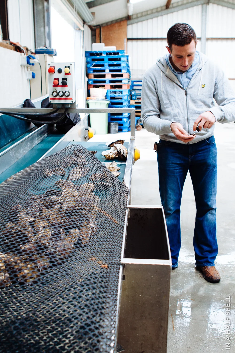 Oysters of Ireland: Merroir (Part 1 of 3) — In A Half Shell : A Bivalve ...