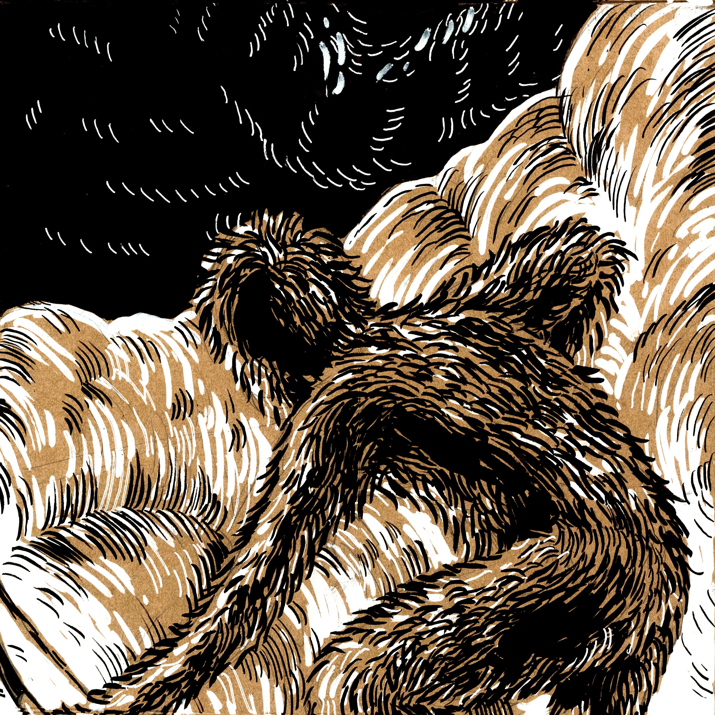 The Dream Recorder — Sean Karemaker