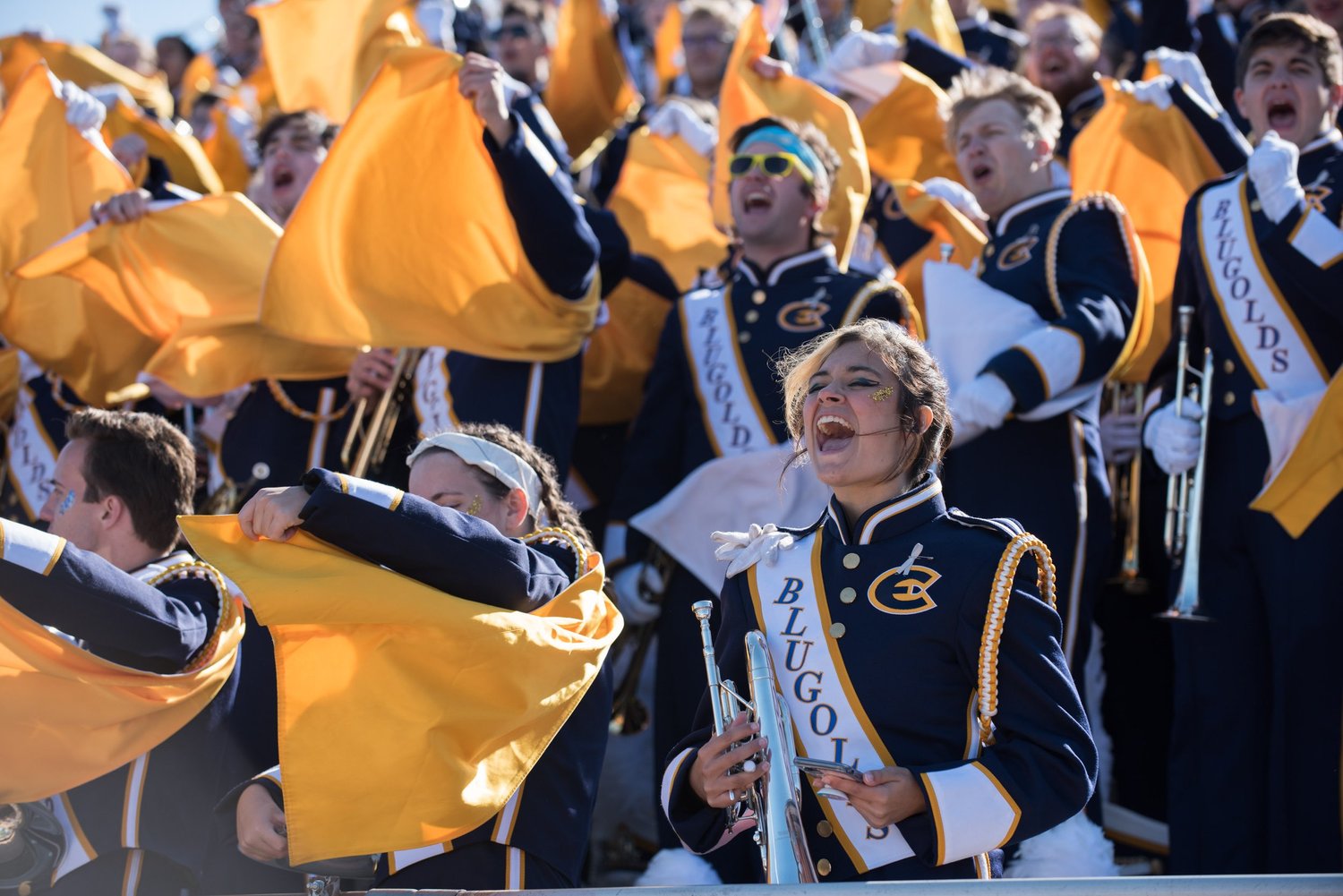 Apply — Blugold Marching Band