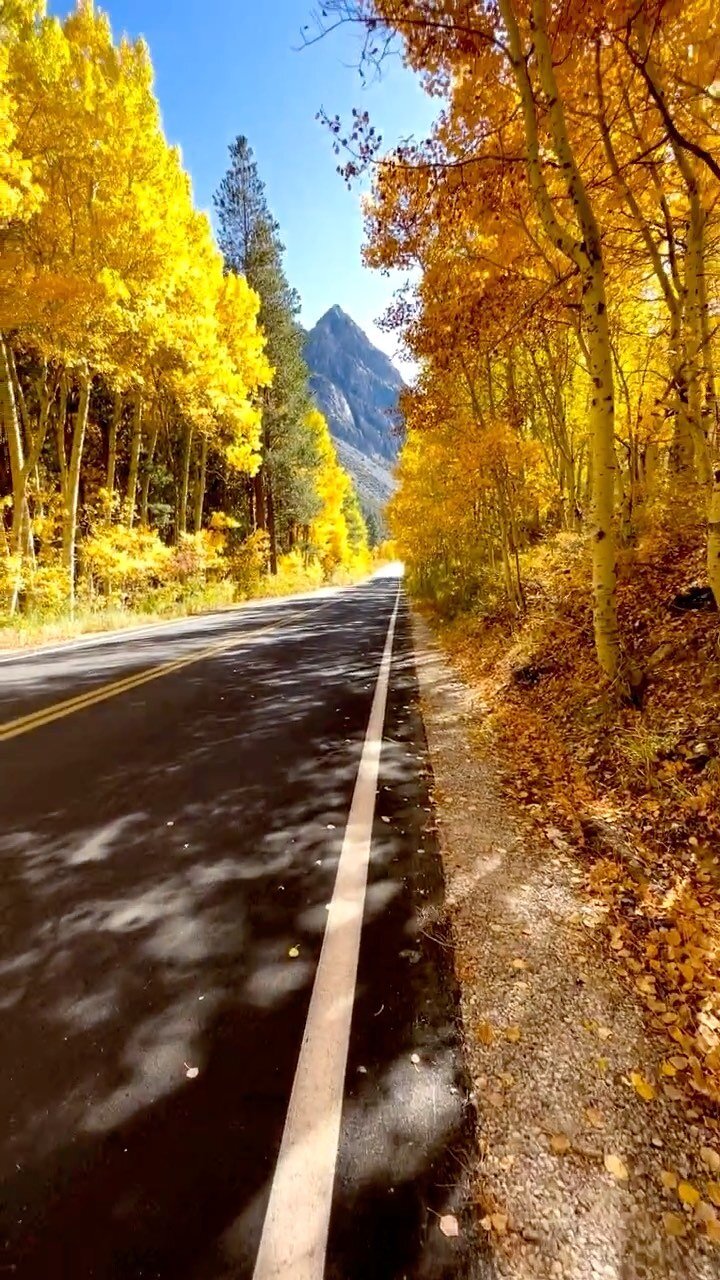 Your Out of Town Adventure Can Wait — Out Hiking