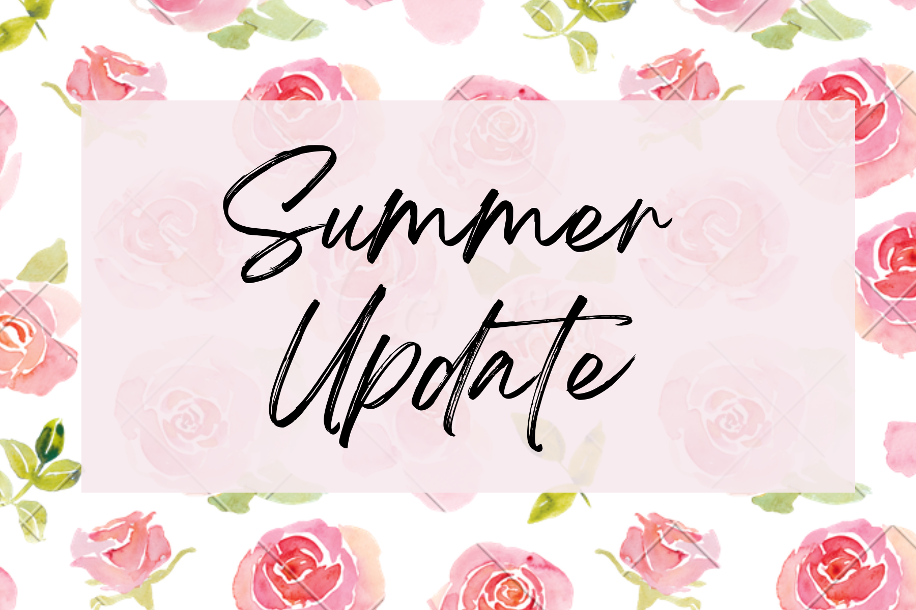 A Summer Update — The Leslie Life