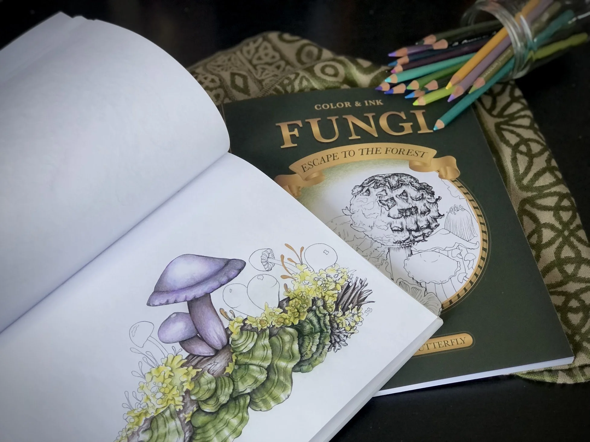Fungi Coloring Book — bretta butterfly