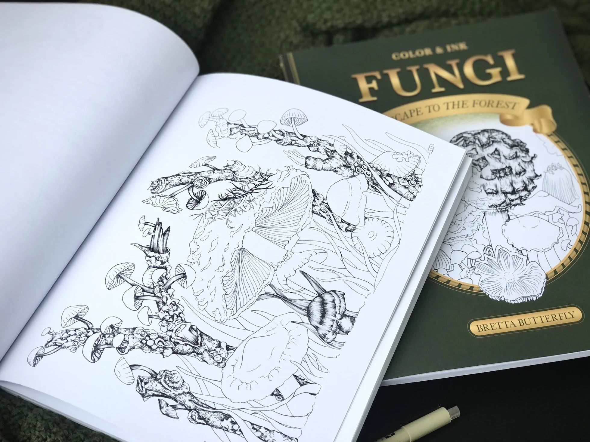 Fungi Coloring Book — bretta butterfly