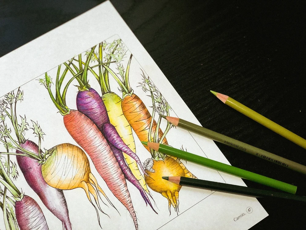 Farm Coloring Book — bretta butterfly