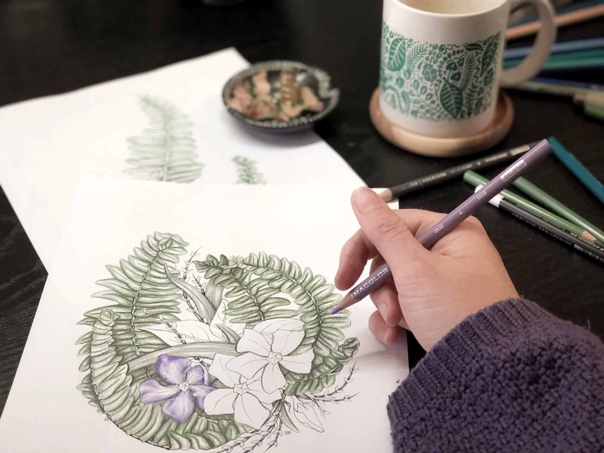 Fern Coloring Book — bretta butterfly