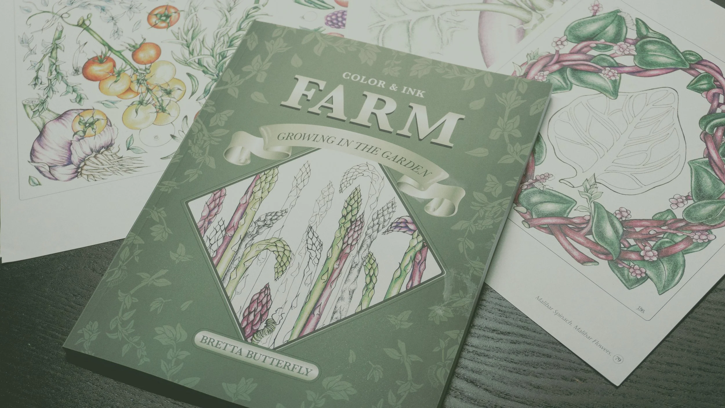 Farm Coloring Book — bretta butterfly