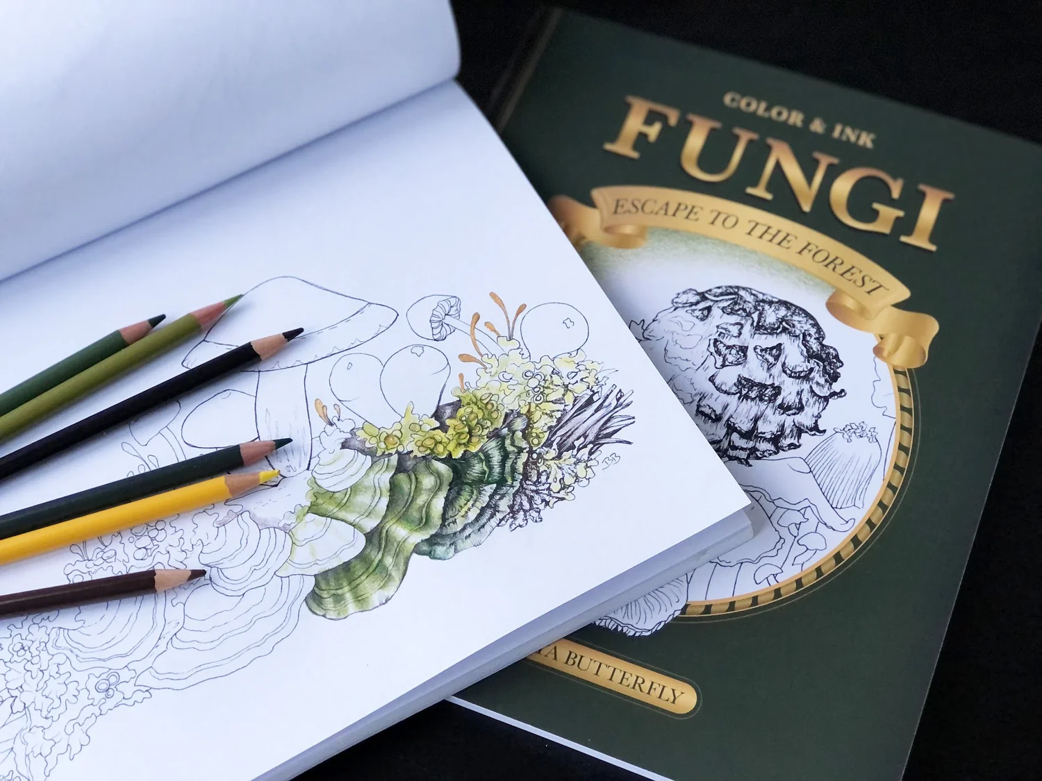 Fungi Coloring Book — bretta butterfly