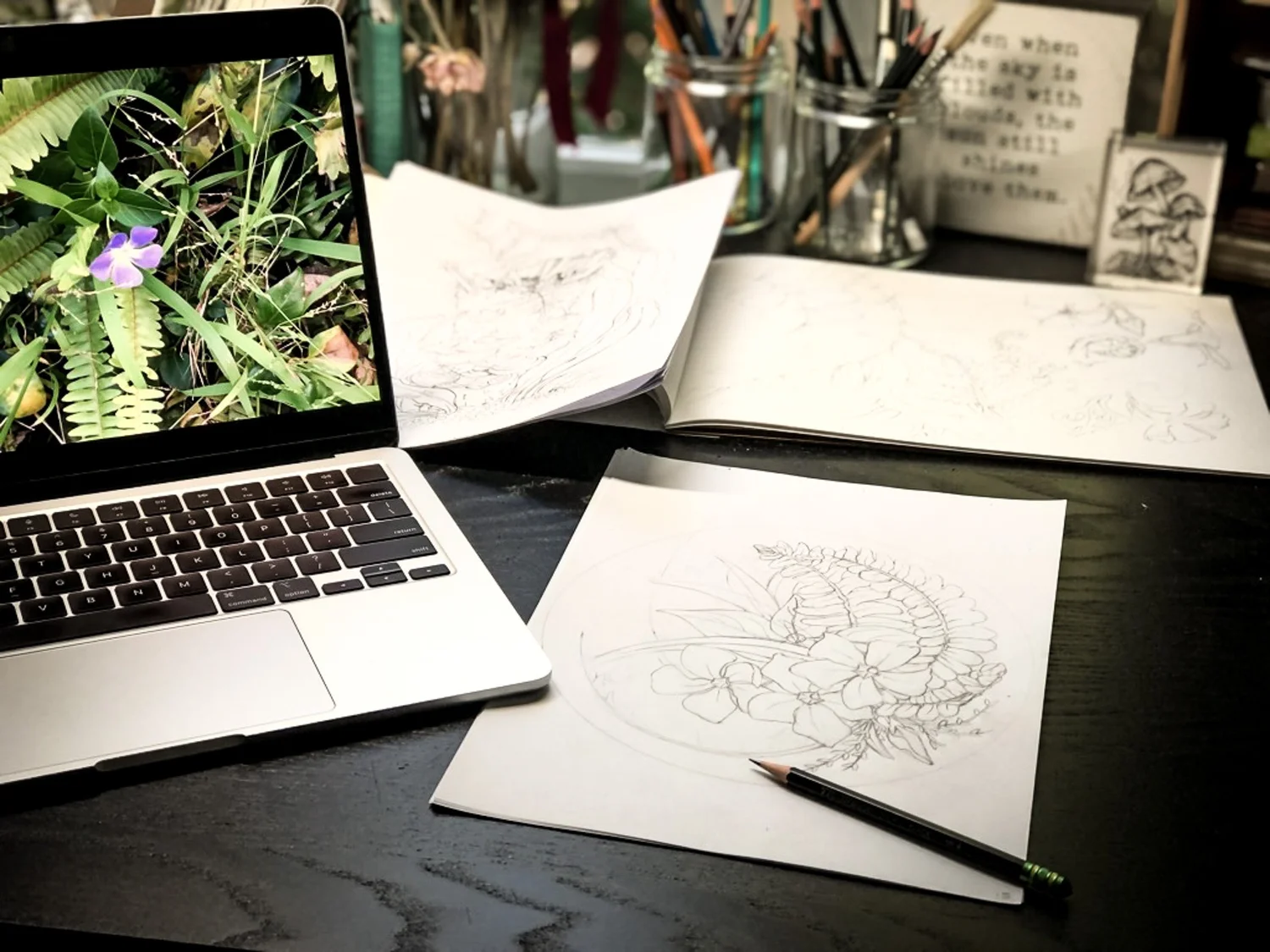 Fern Coloring Book — bretta butterfly