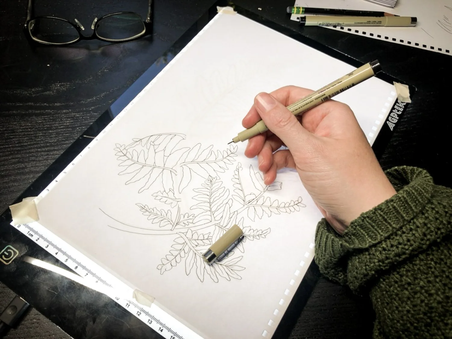 Fern Coloring Book — bretta butterfly