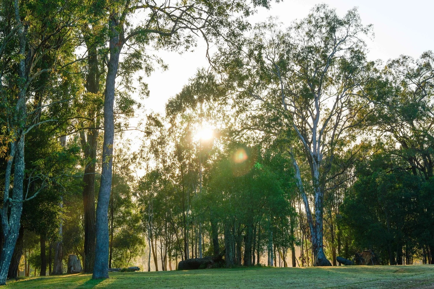 Tamborine — Emu Gully
