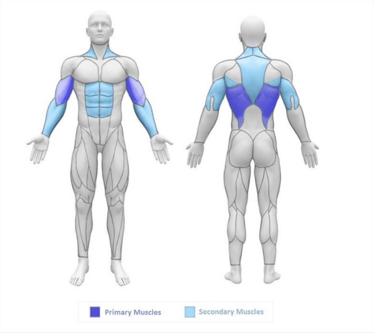 5 Step Chin-Up Guide — Strength by Jaime Barroso