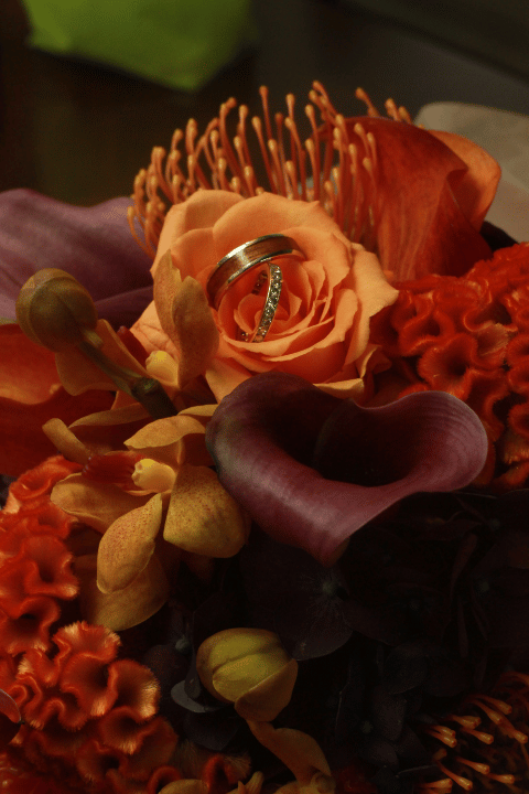 10 Tips for Planning a Fall Wedding — Kimberly James Bridal Boutique ...