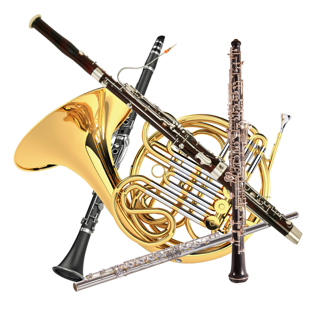 Woodwind Quintet_24.25 — Mid-Atlantic Symphony Orchestra