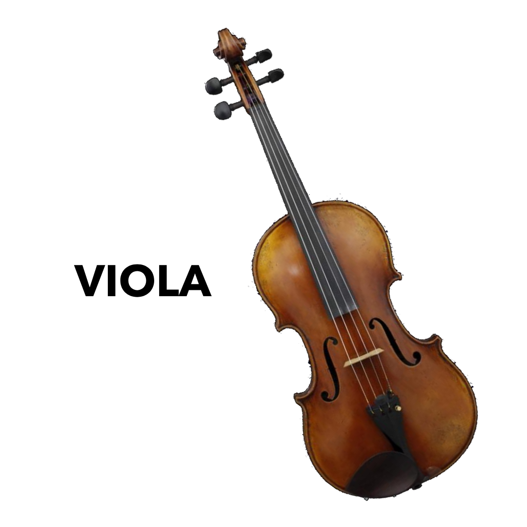 Spotlight on Instruments — Mid-Atlantic Symphony Orchestra
