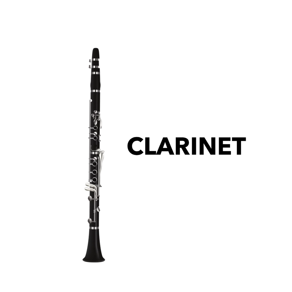 Spotlight on Instruments — Mid-Atlantic Symphony Orchestra