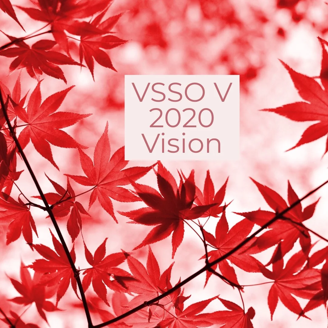Sponsorship — VSSO