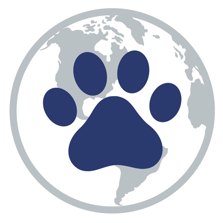 Renal Tumors - Canine — VSSO