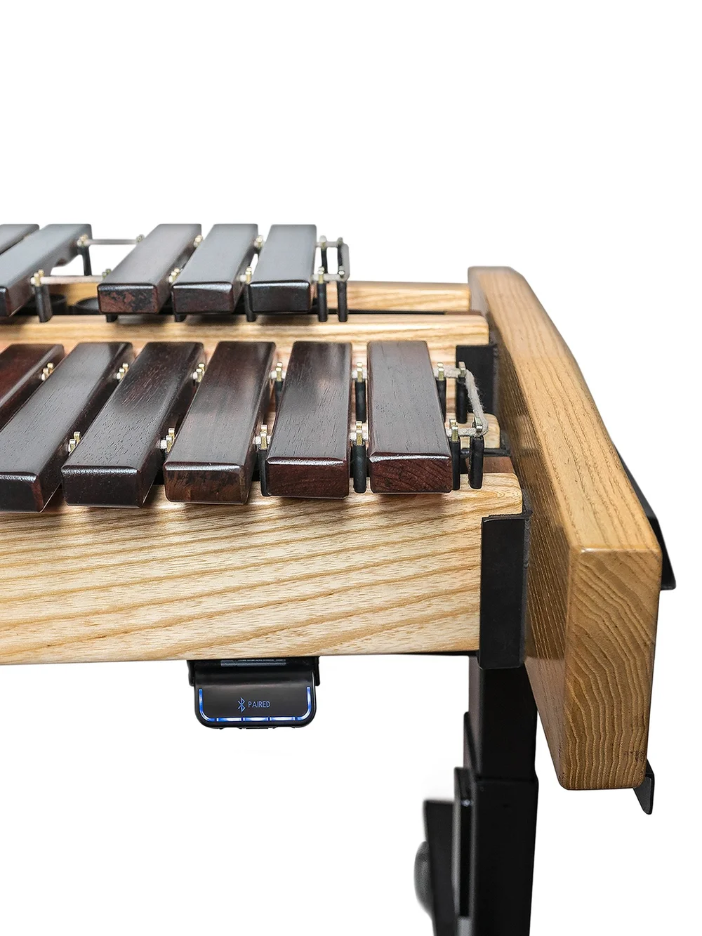 Percussion Xylophone