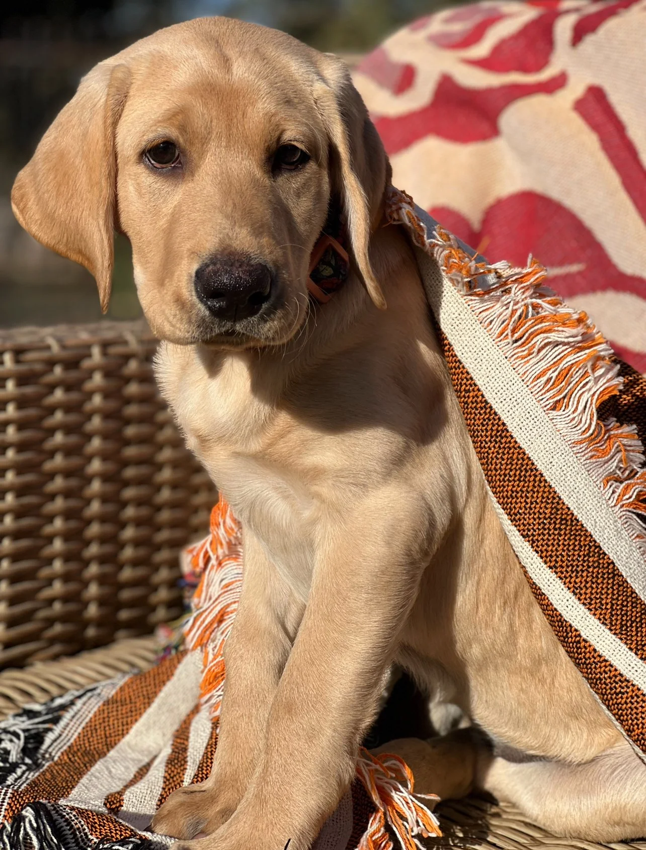 About | HUDSON & Company