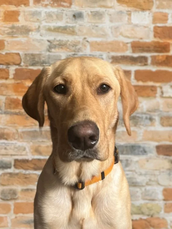 About | HUDSON & Company