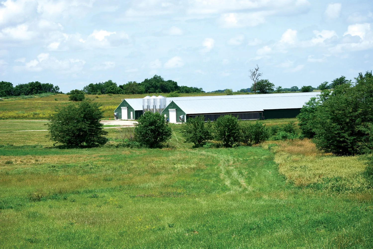 Our Story — SMART CHICKEN