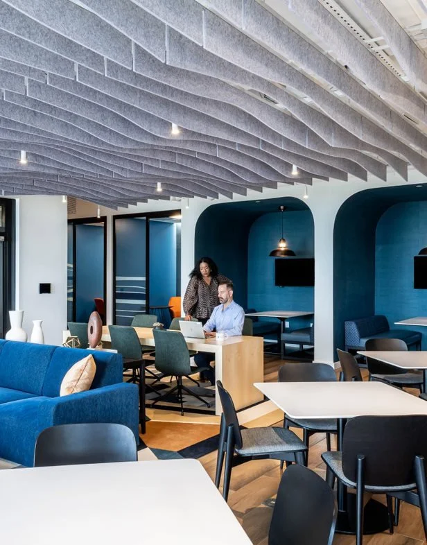 Acoustical Baffle Solutions — Ritz acoustics