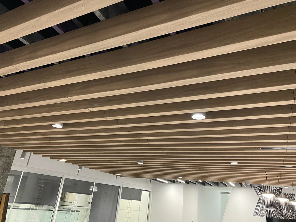 Acoustical Baffle Solutions — Ritz acoustics