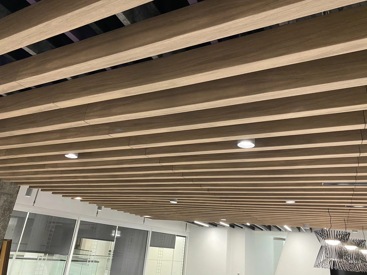 Acoustical Baffle Solutions — Ritz acoustics