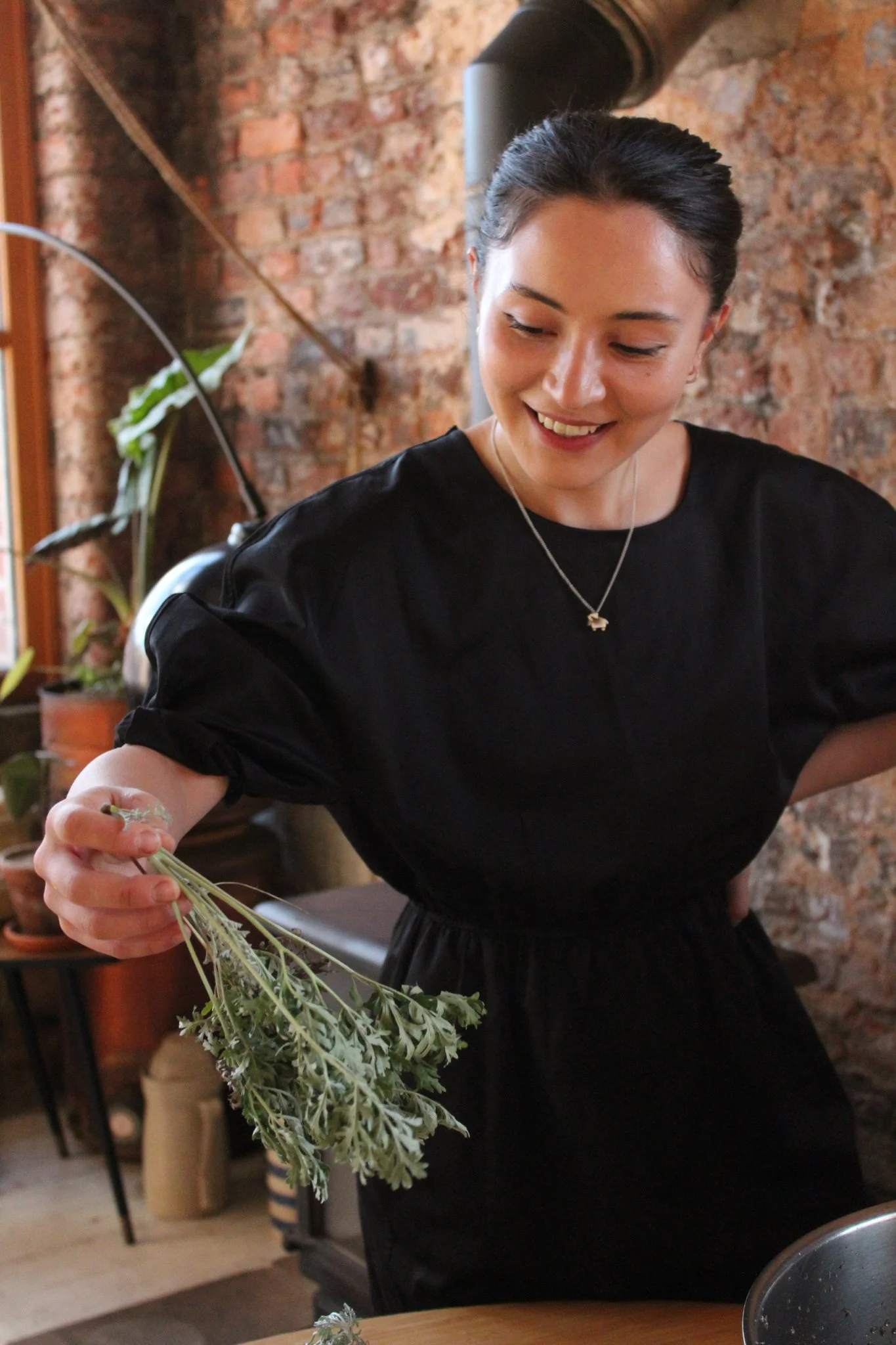 The Team — Where The Light Gets In