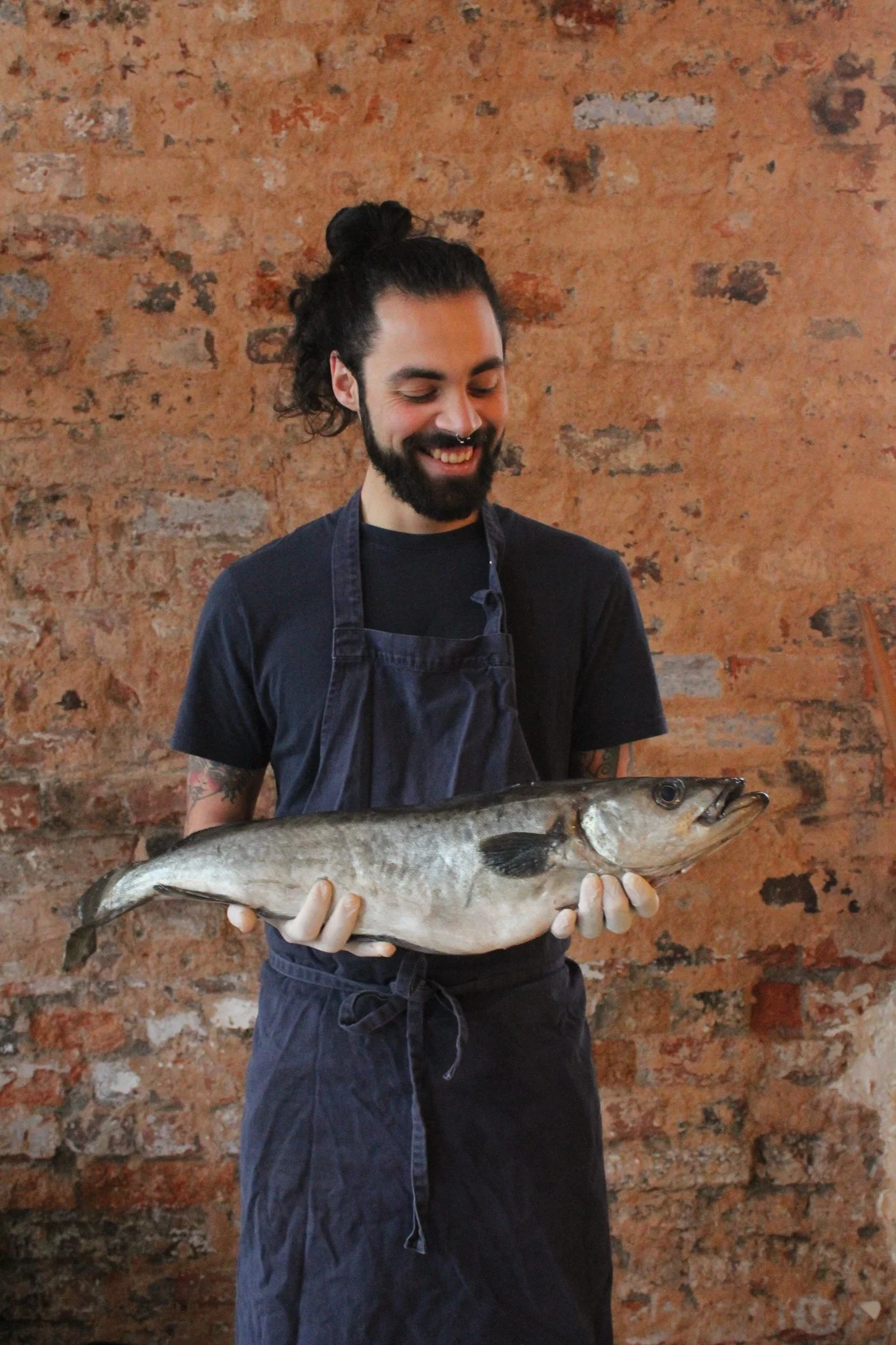 The Team — Where The Light Gets In