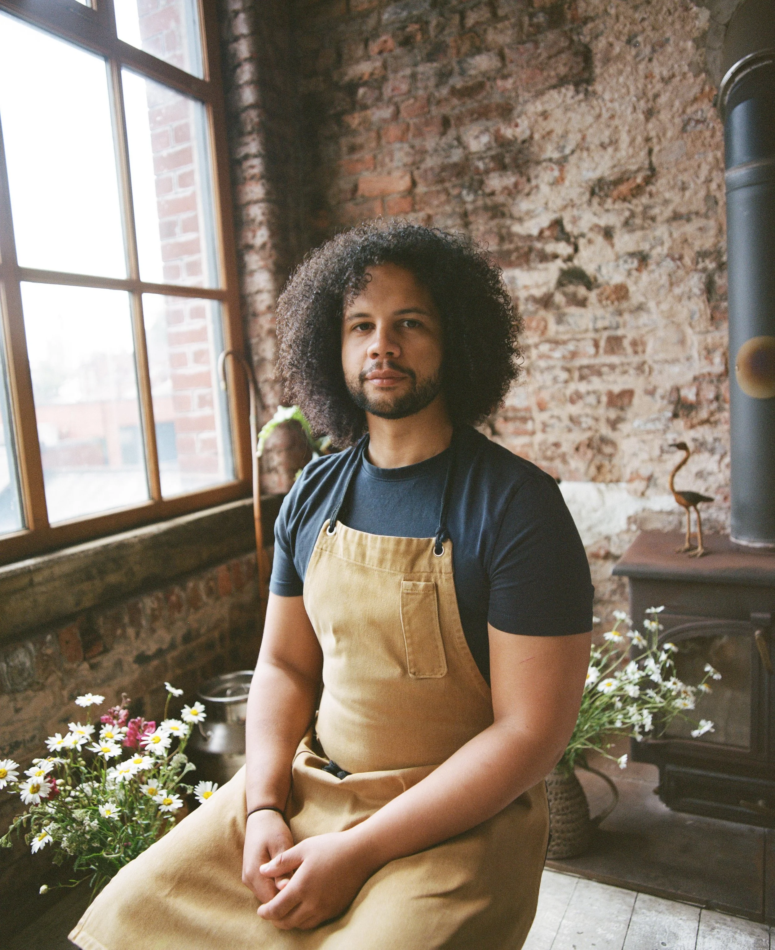 Our Team — Where The Light Gets In