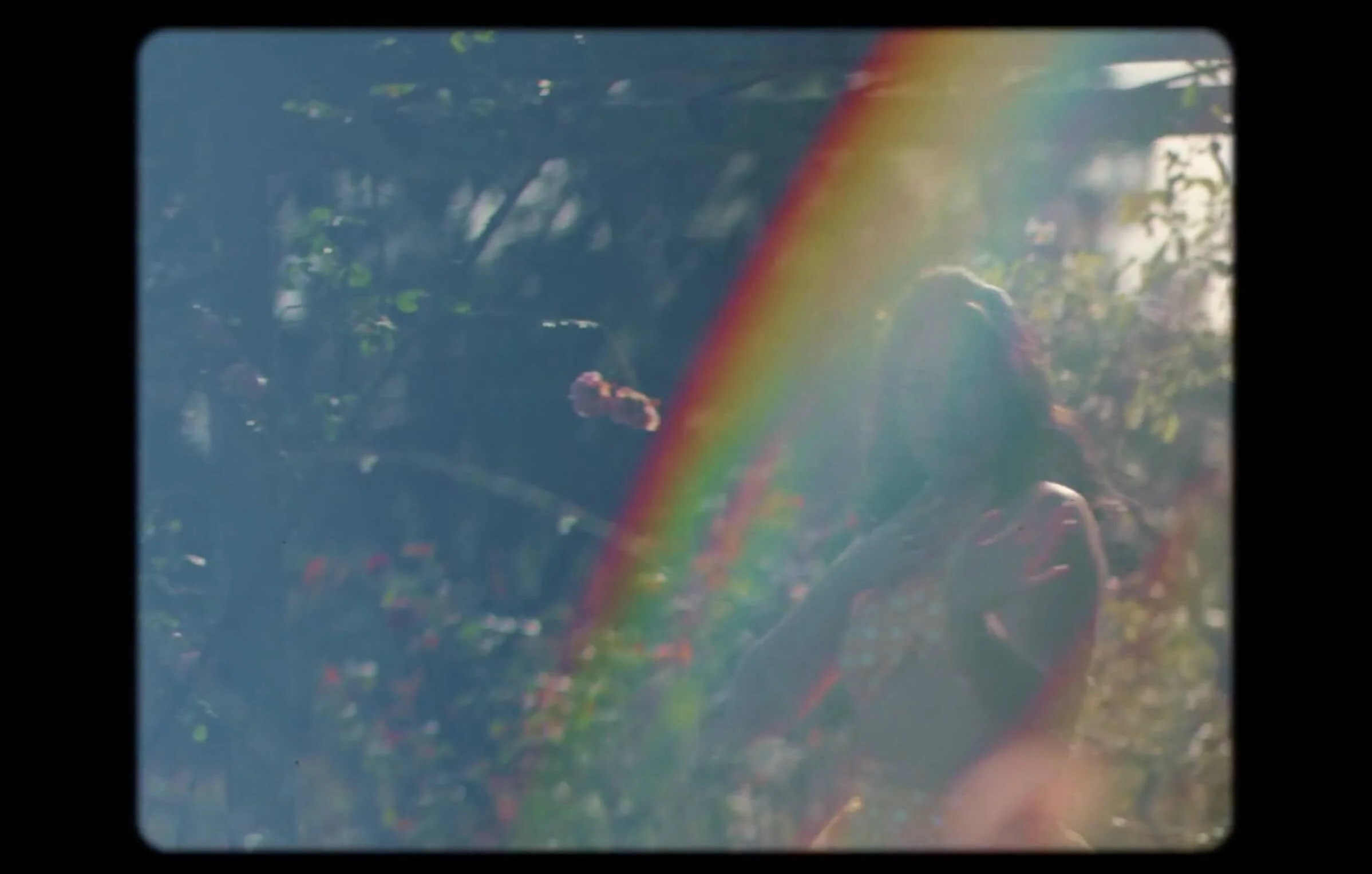 Lou’ana – Summer In May — BRENDON CHAN