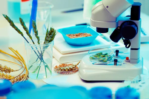 Services — Edible Chemistry Consulting