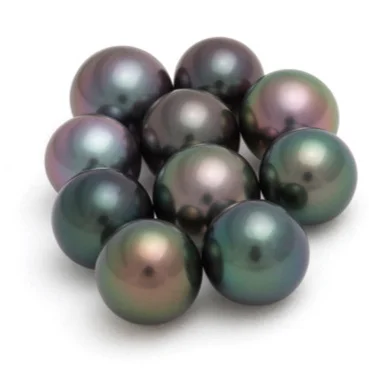 The Nature of Black Pearls — Bergman & Sons : est 1976 : Black Pearl ...