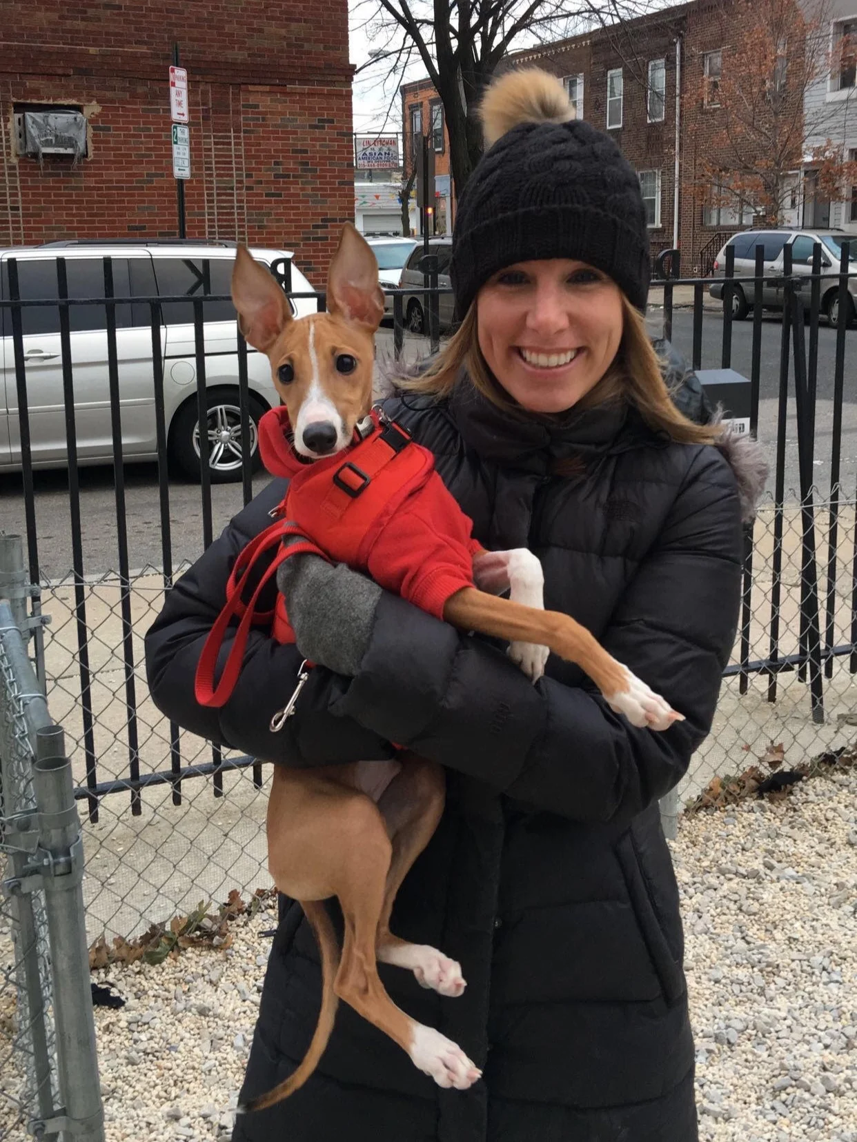 About Wag Days — Wag Days Philly