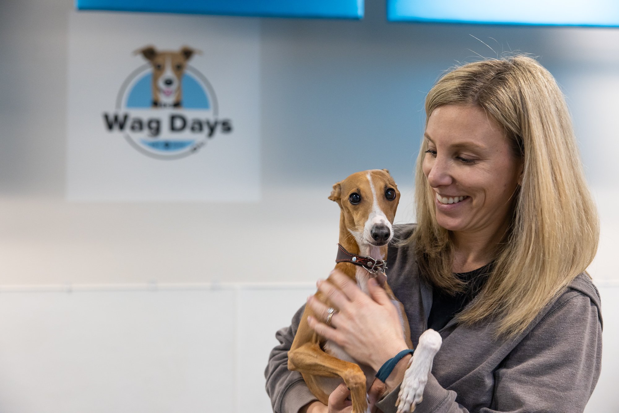 About Wag Days — Wag Days Philly