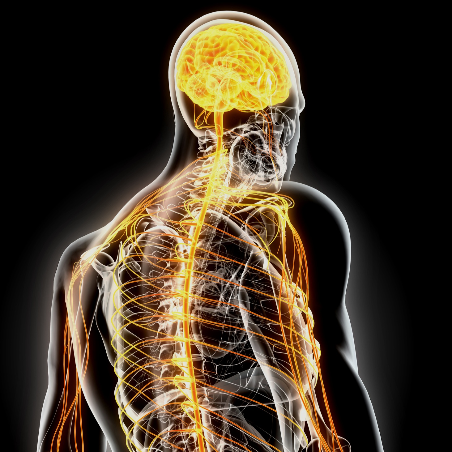 Pain Management — NerveBlock.com