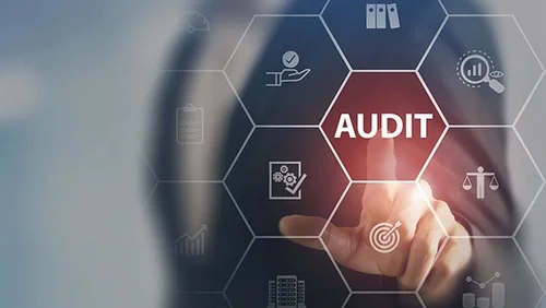 Types of Entities That Need a Financial Audit in Australia — Audit ...