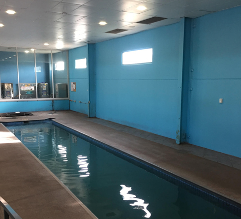 Swimming Pool — Woofpurnay Veterinary Hospital | Professional ...