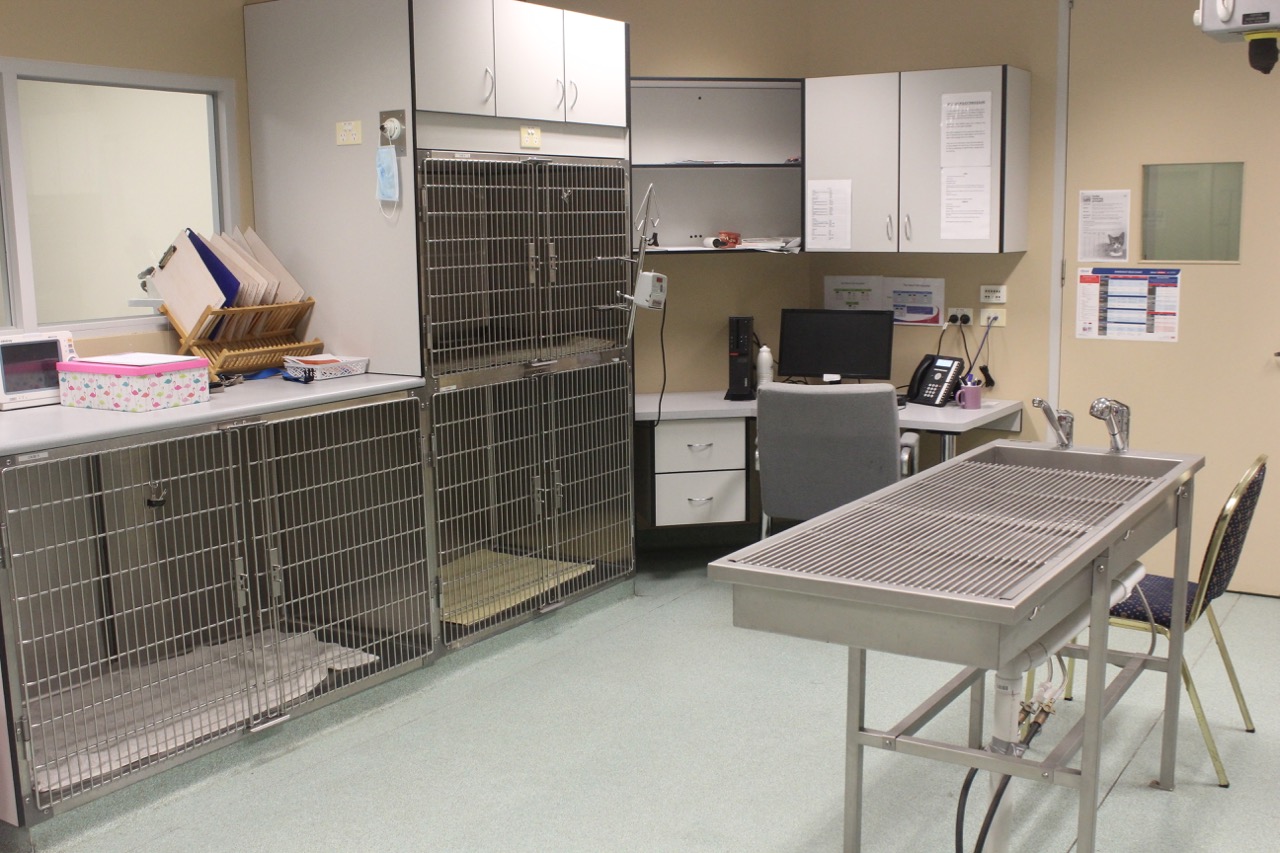 Clinic Tour — Woofpurnay Veterinary Hospital | Professional compassionate care | Emergency Vet