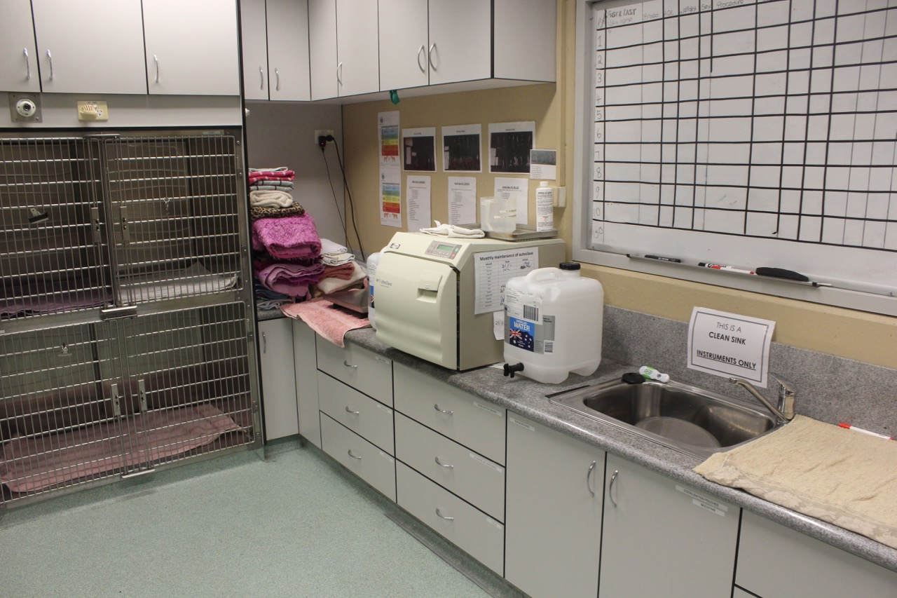 Clinic Tour — Woofpurnay Veterinary Hospital | Professional compassionate care | Emergency Vet