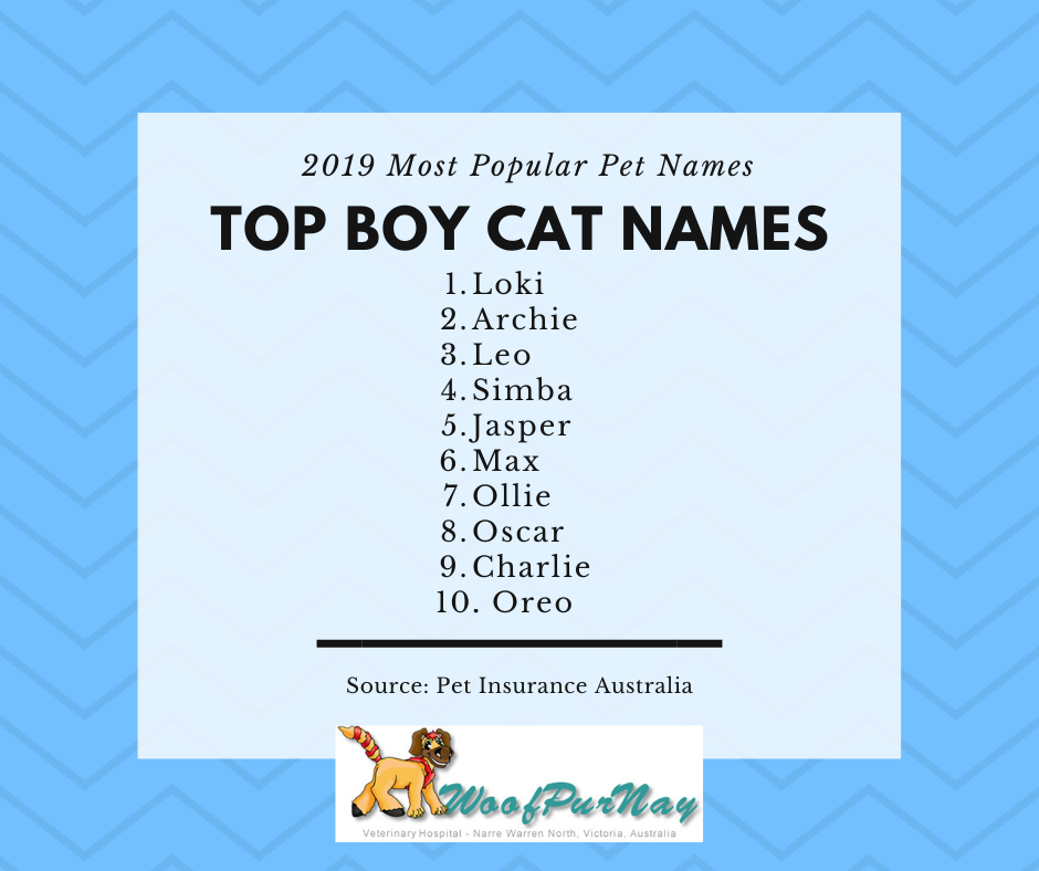 Most Popular Pet Names Of 2019 Woofpurnay Veterinary Hospital