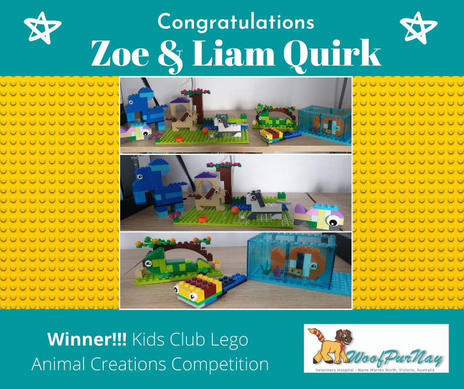 Kids Club — Woofpurnay Veterinary Hospital | Professional compassionate ...