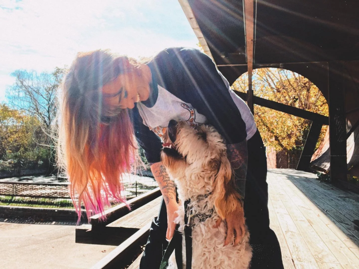 Soul Enhancing Dog Training & Dog Adventures Benton, Tennesse