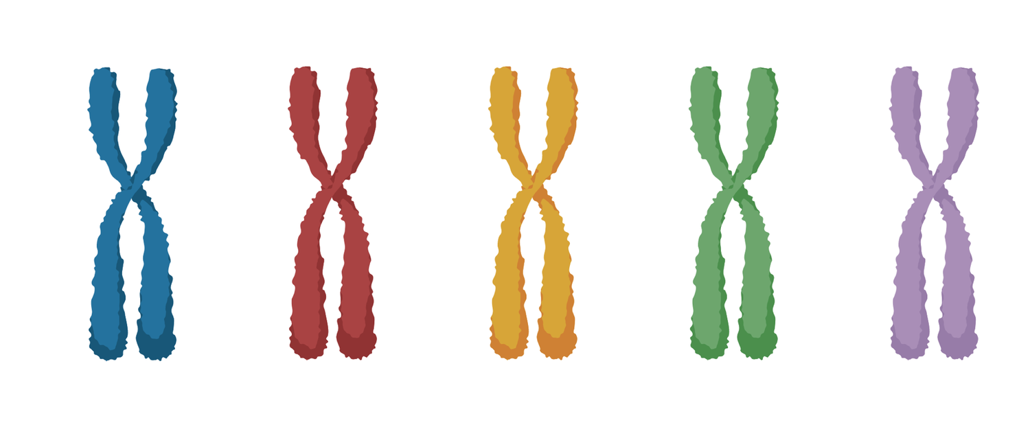 PUBLICATIONS — The Sheltzer Lab